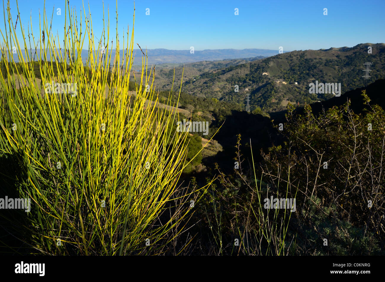 The New Almaden quicksilver mine, San Jose, California CA Stock Photo ...