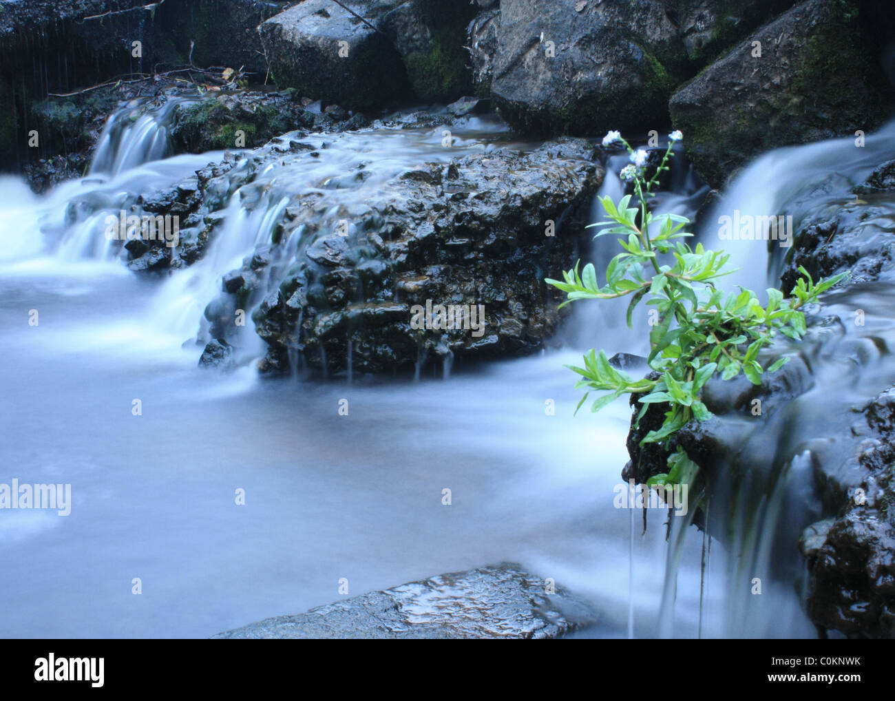 River Derwent Waterfall Stock Photos & River Derwent Waterfall Stock ...
