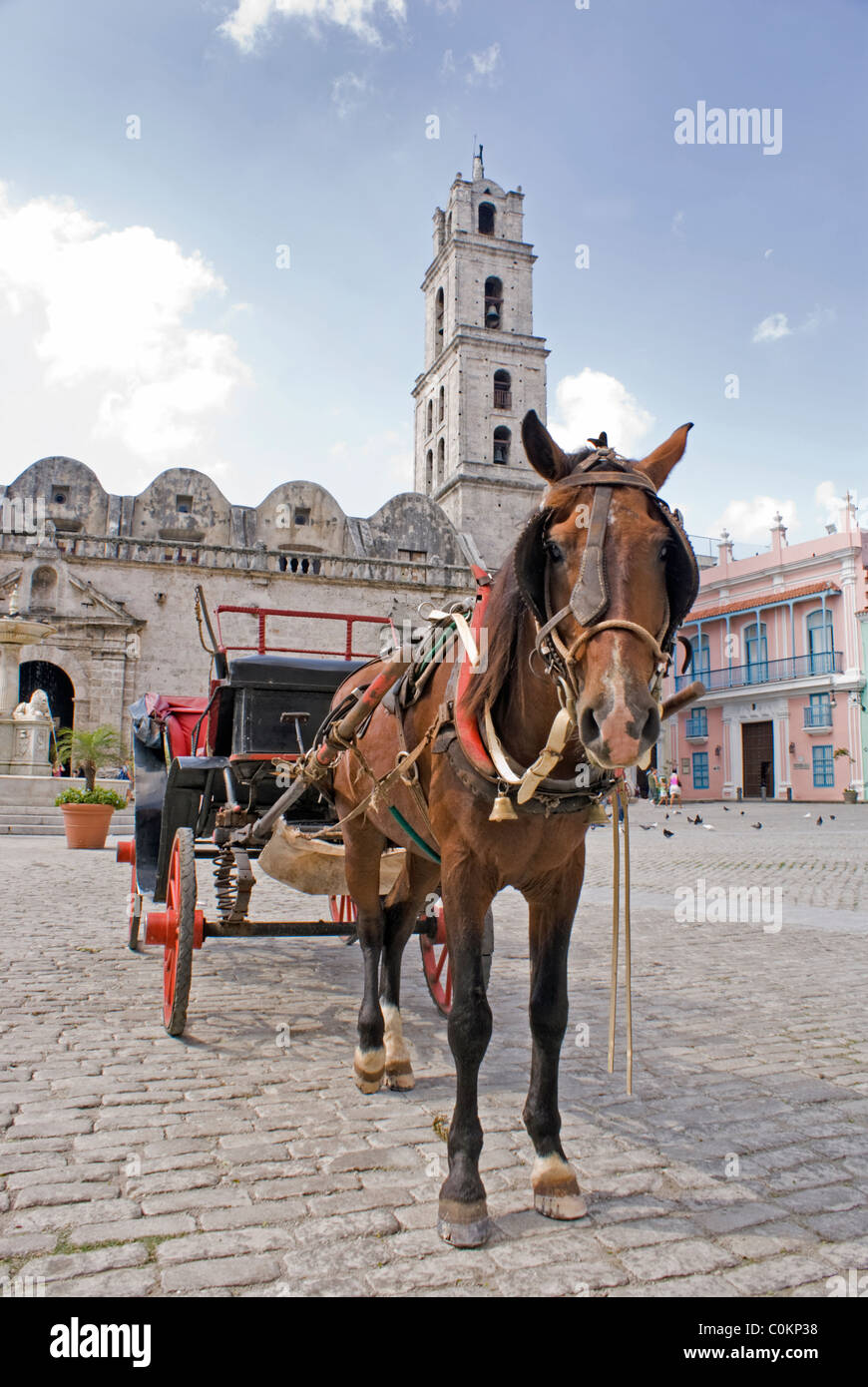 Cuba havana old cobbled hi-res stock photography and images - Alamy