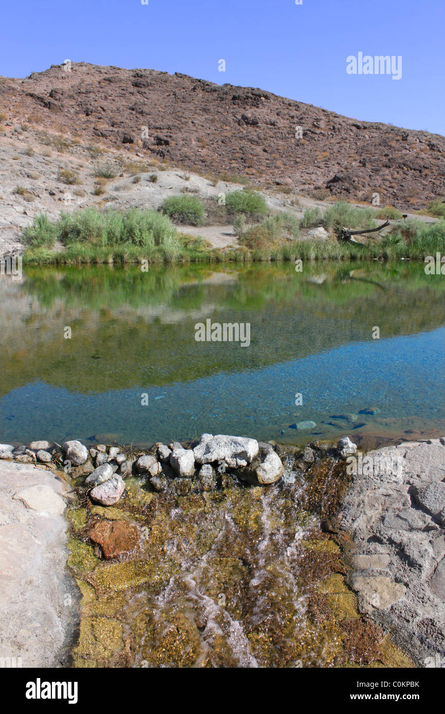 Oasis nevada hi-res stock photography and images - Alamy