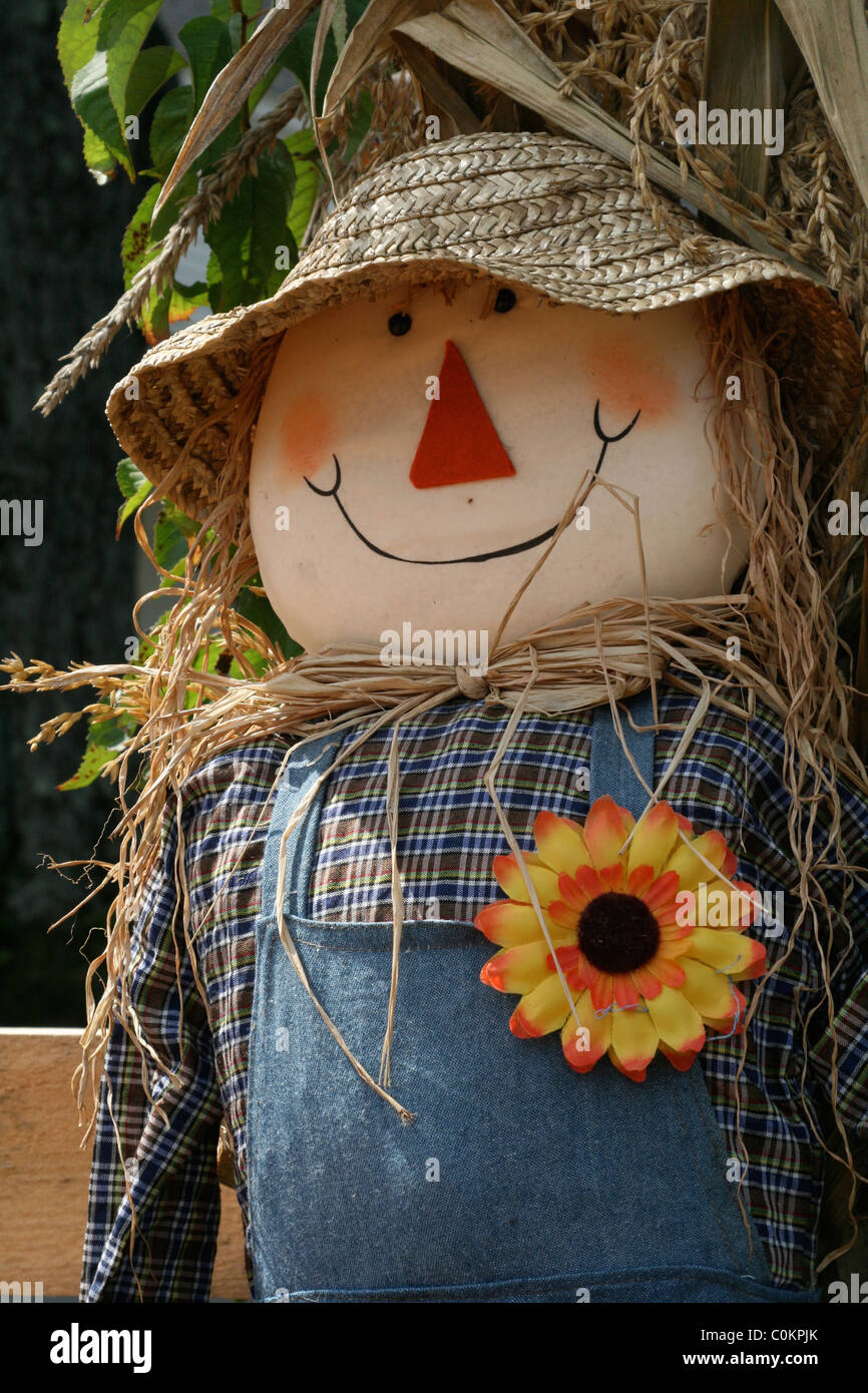 A scarecrow on a farm Stock Photo - Alamy