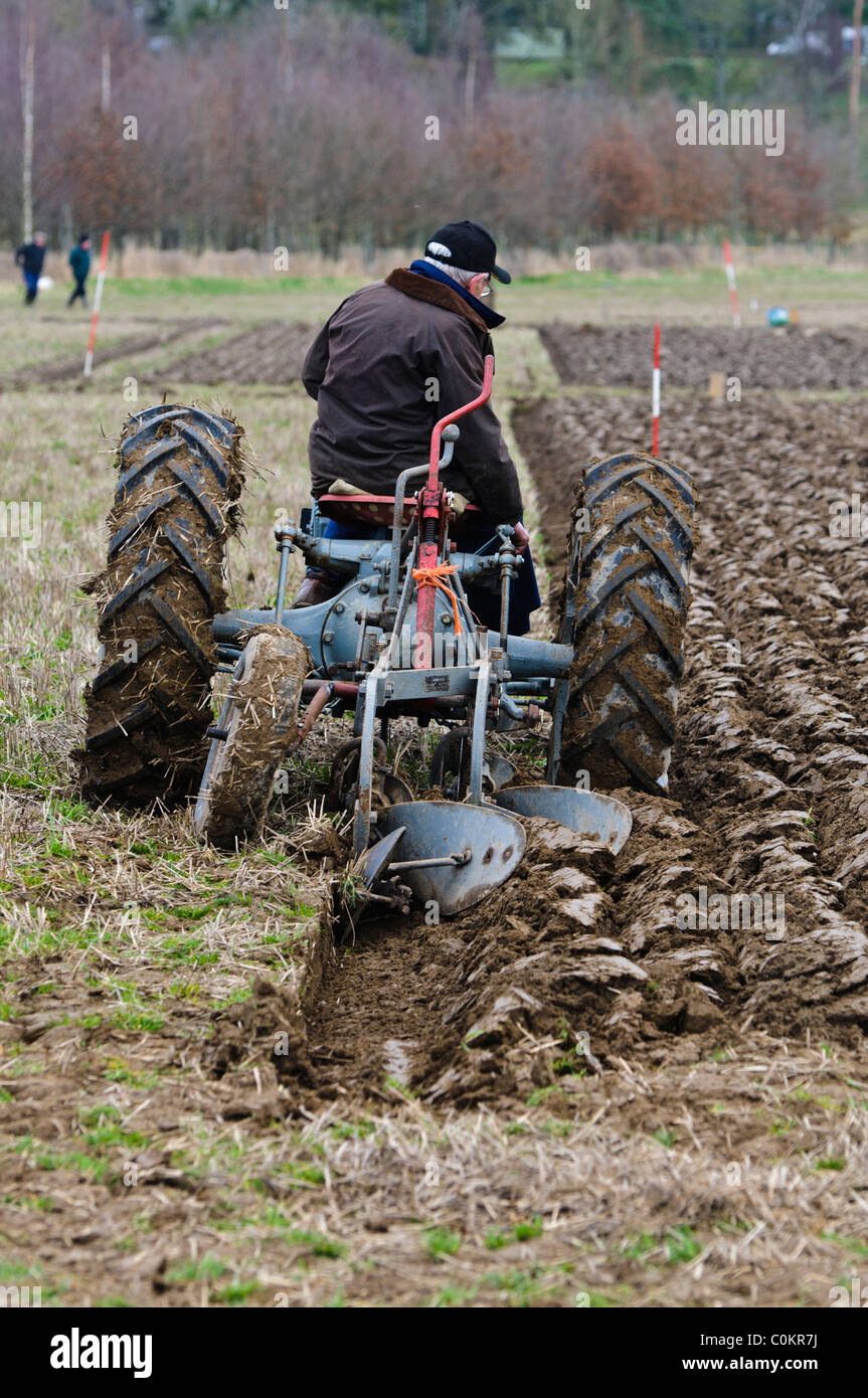 Farmer using a vintage tractor to plough a field Stock Photo - Alamy