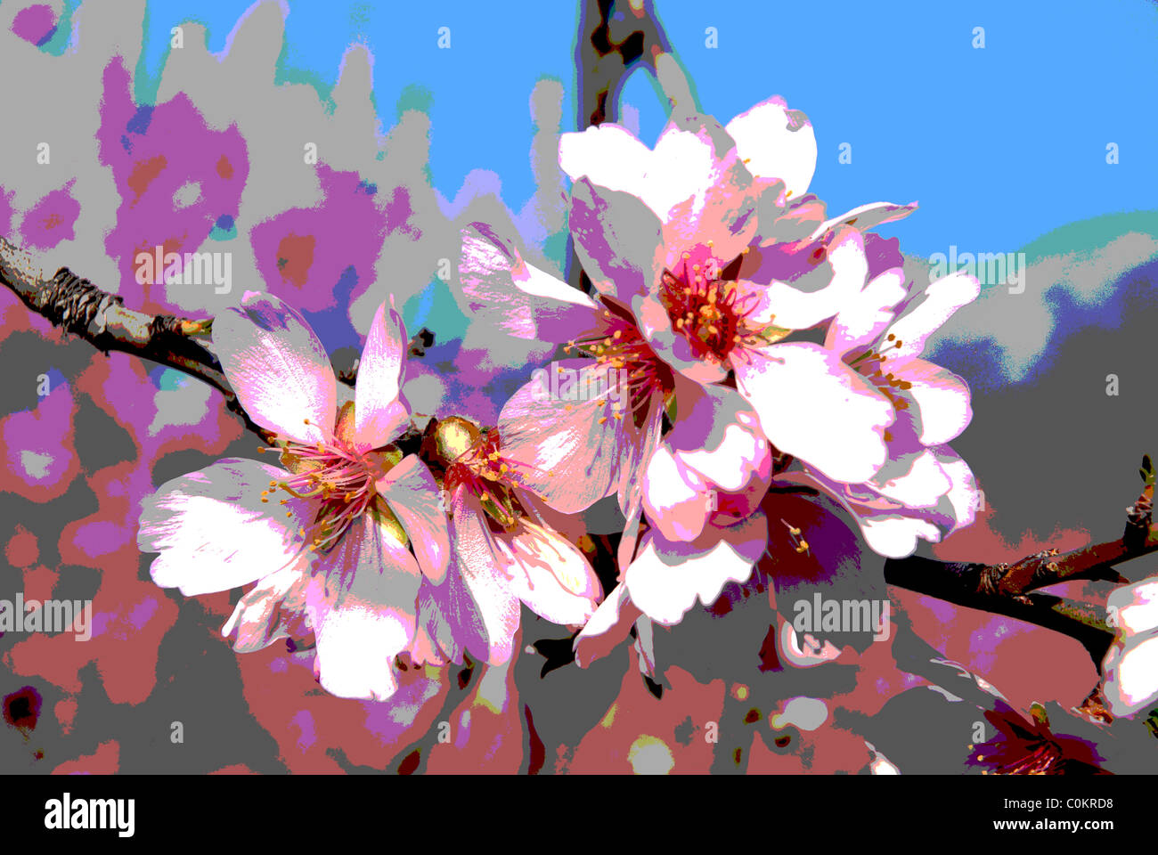 Posterized hi-res stock photography and images - Alamy