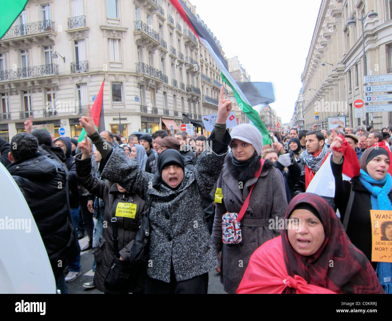 Paris, France, Libya Demonstration, in Support of Libyan Revolution ...