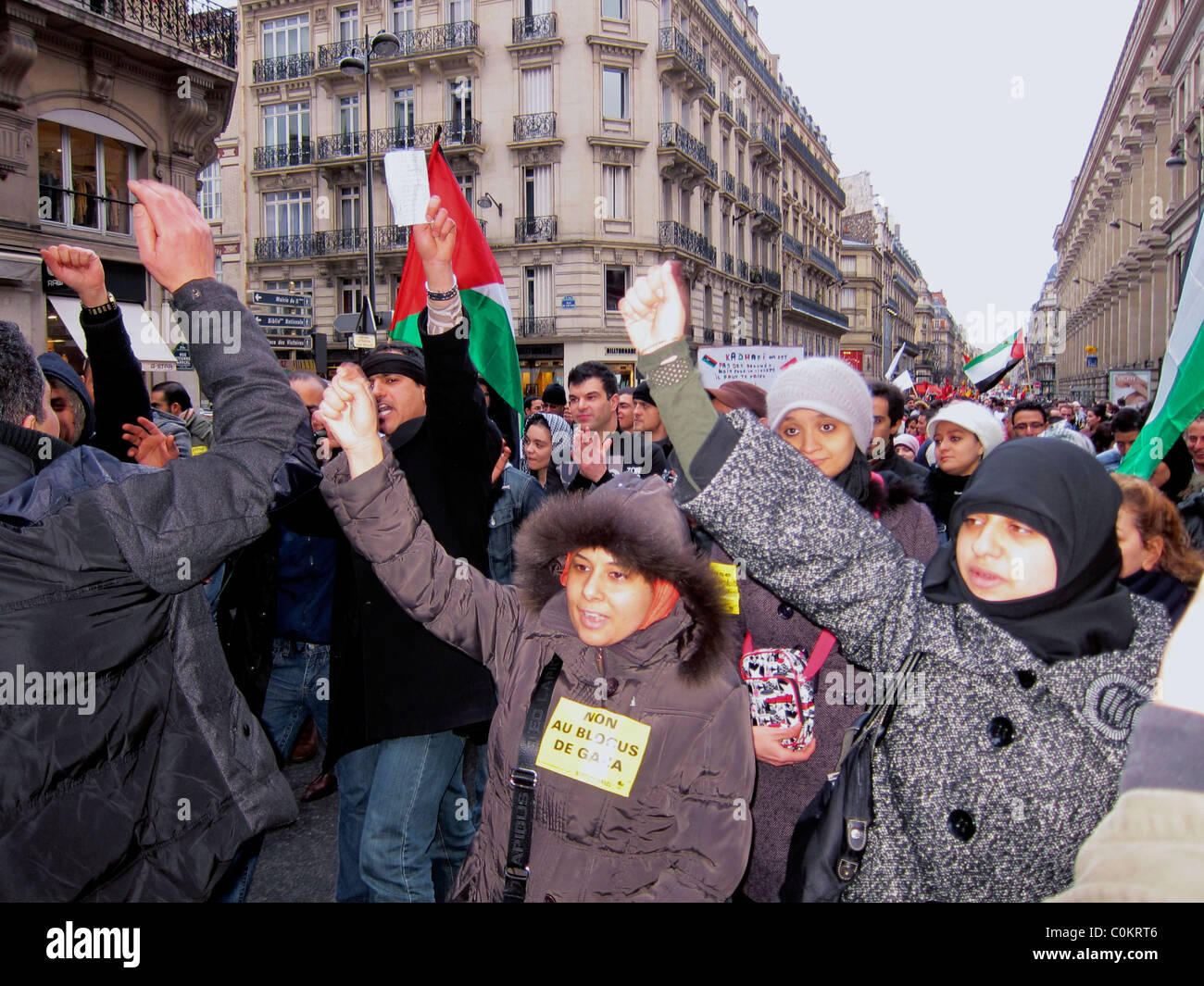 Paris, France, Public Demonstration, "Arab Spring Protests", Crowd ...