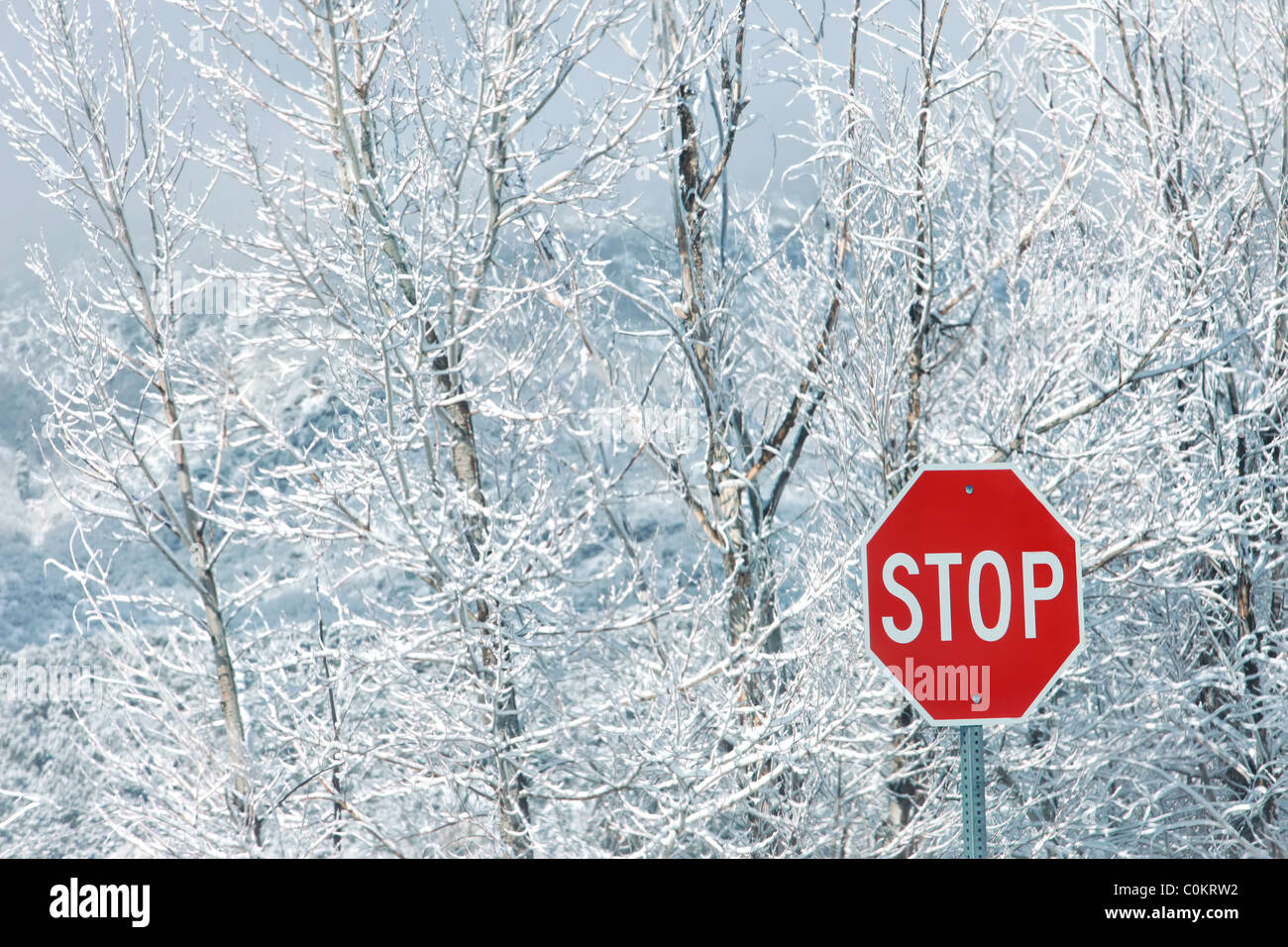 Snow covered stop sign hi-res stock photography and images - Alamy