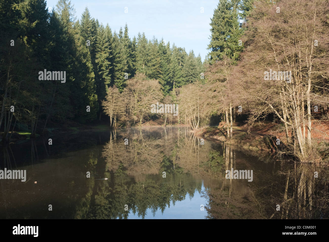 Soudley ponds hi-res stock photography and images - Alamy