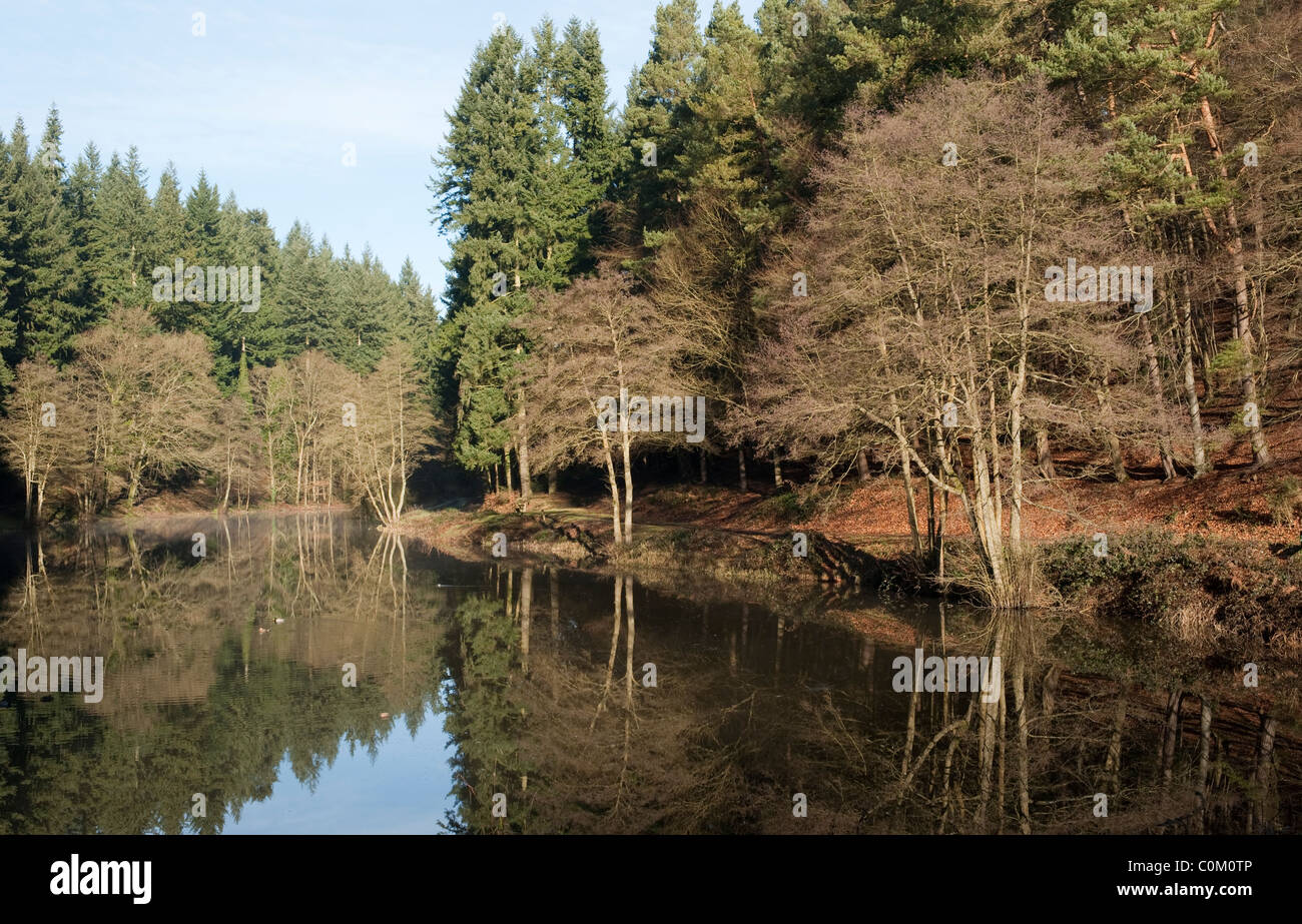 Soudley ponds hi-res stock photography and images - Alamy