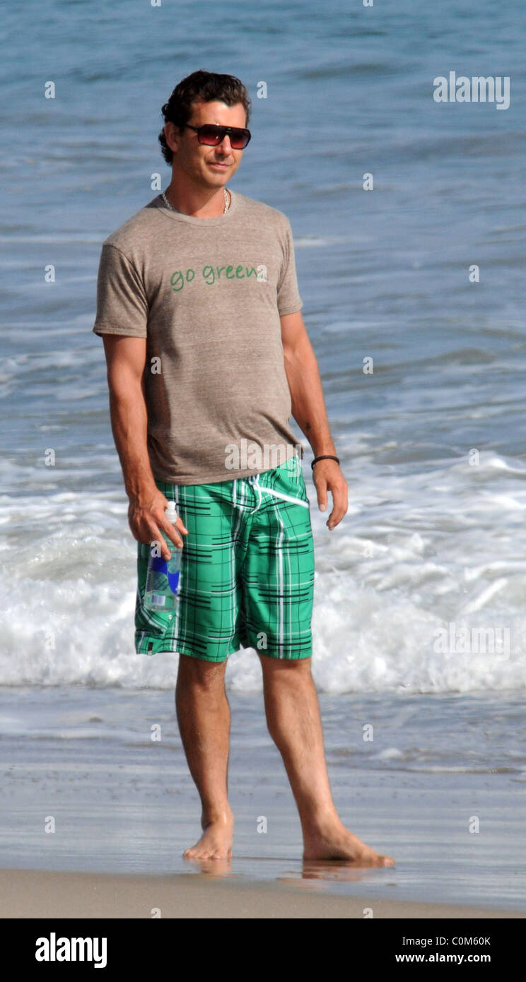 Gavin Rossdale on Malibu beach Los Angeles, California - 31.08.08 Stock ...