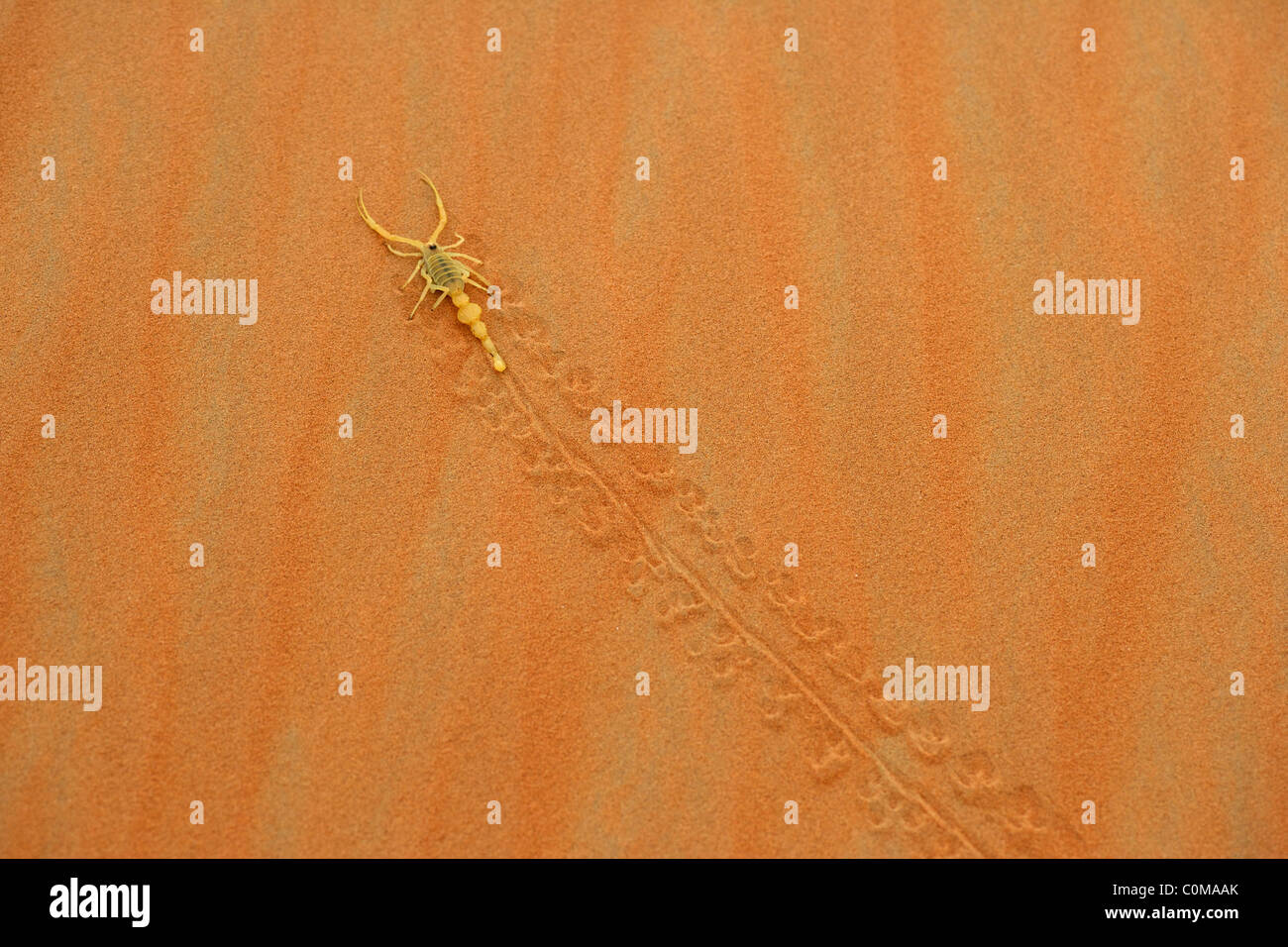 Kuwait desert empty High Resolution Stock Photography and Images - Alamy