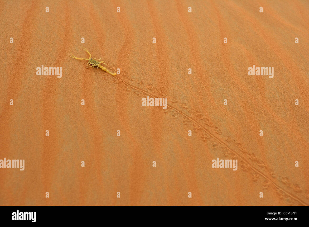 Kuwait desert empty High Resolution Stock Photography and Images - Alamy