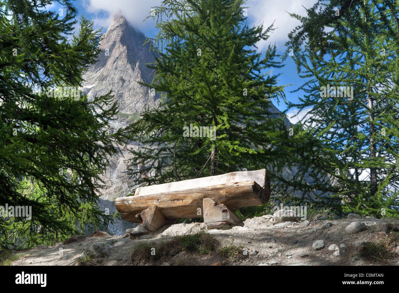 wooden bench between trees in Italian Alps. Image slightly processed ...