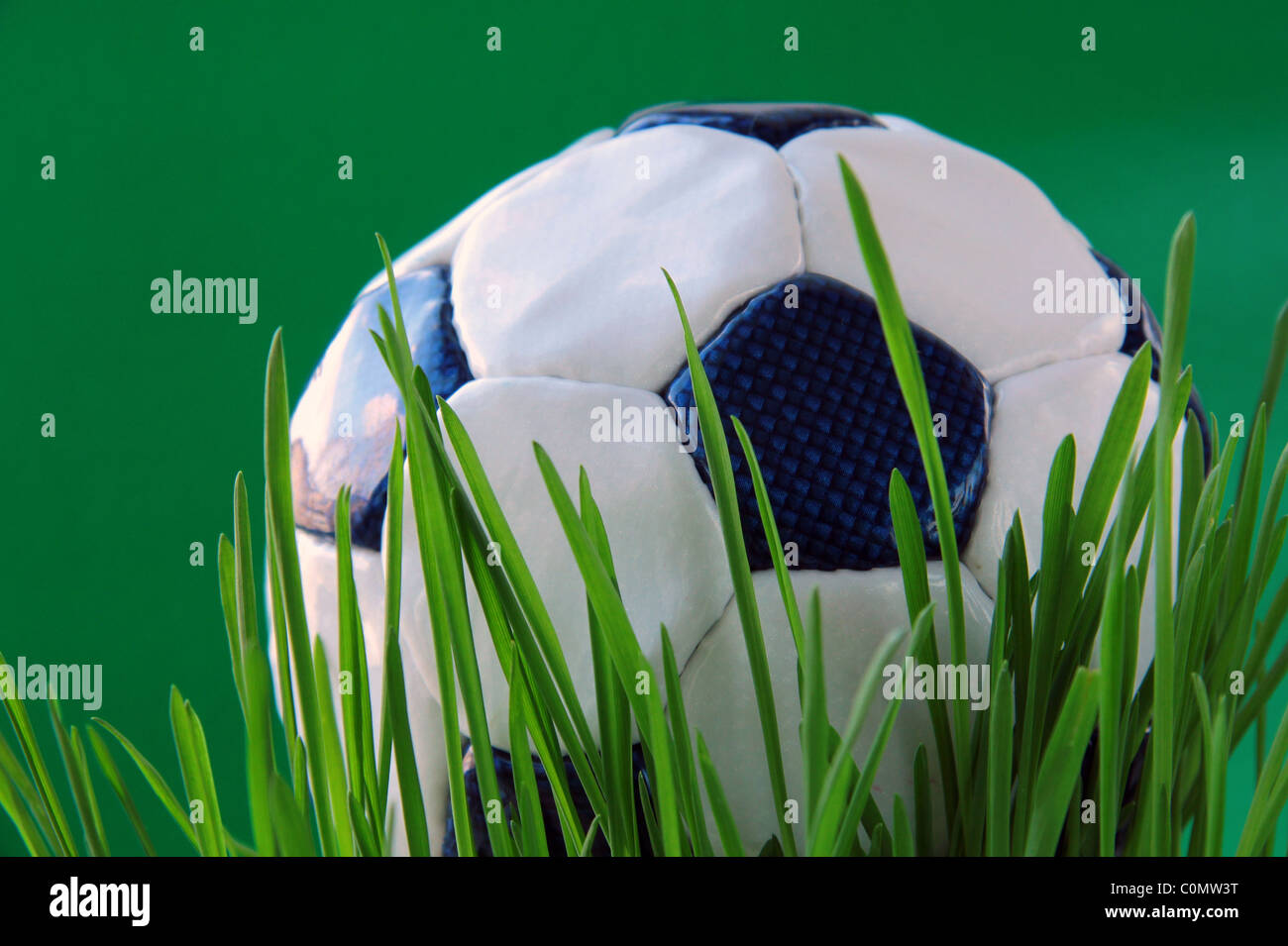 football on fresh spring green grass Stock Photo - Alamy