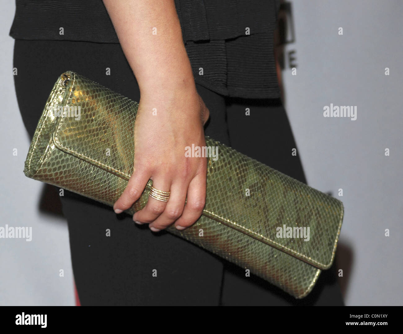Hayden Panettiere Declare Yourself's 'Domino Effect' at Green Door ...