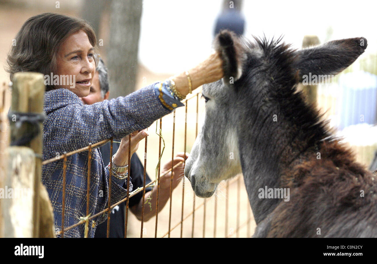 Queen Sofia visiting the foundation 'Donkey House' where she gave the ...