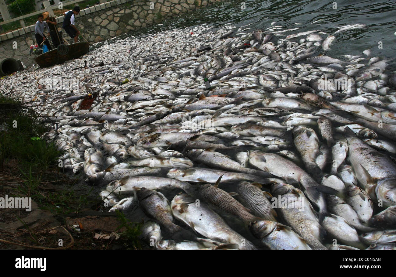 Disposing of the dead hi-res stock photography and images - Alamy