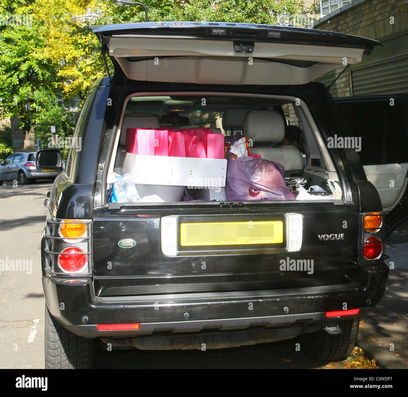 Kate Moss arriving back at her house wearing zebra print trousers. In ...