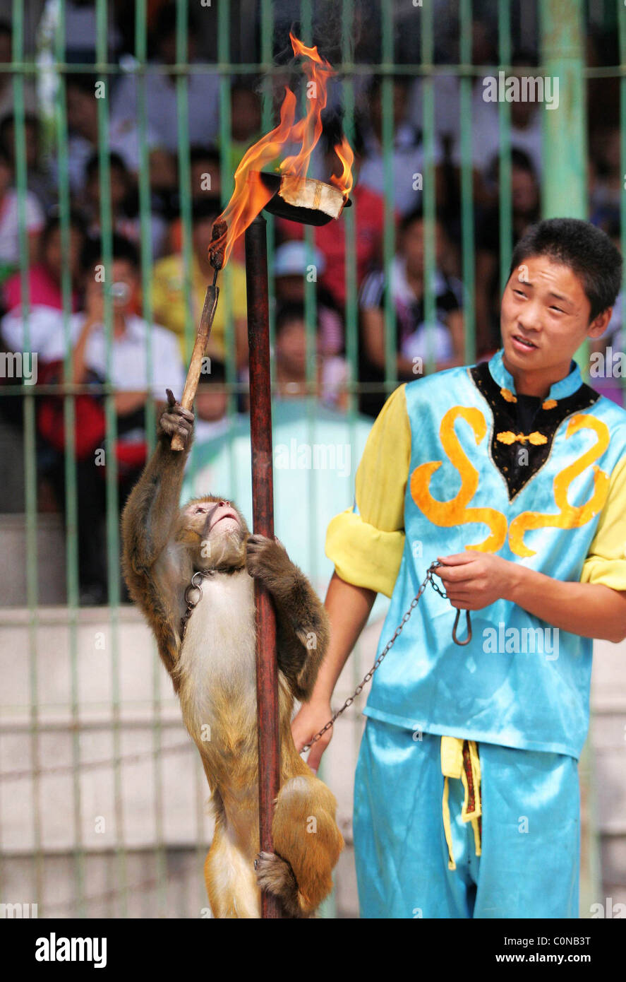 ANIMAL MAGIC These performing beasts wowed the crowds at a circus in ...
