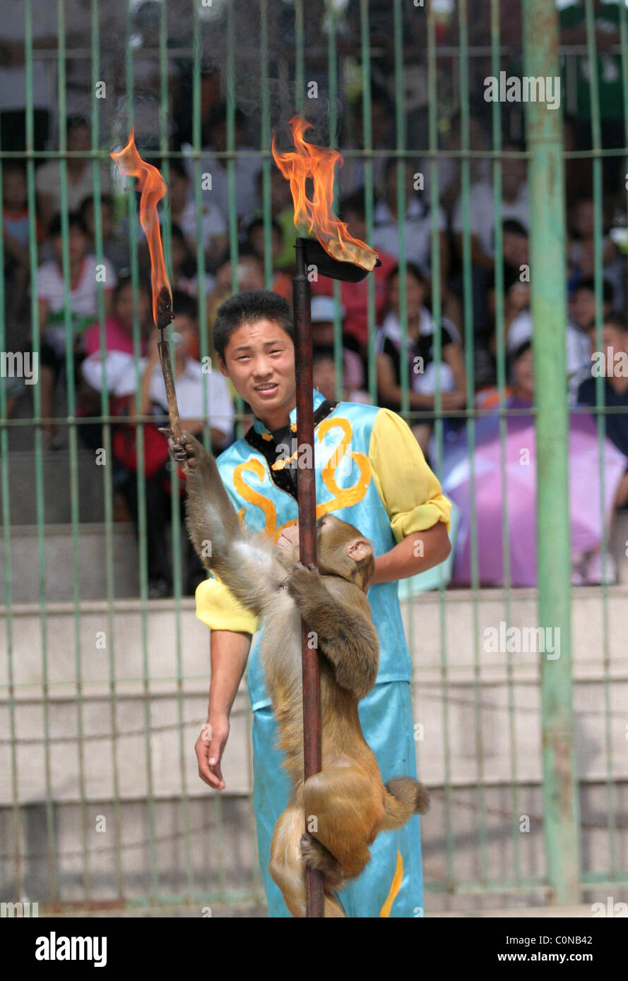ANIMAL MAGIC These performing beasts wowed the crowds at a circus in ...
