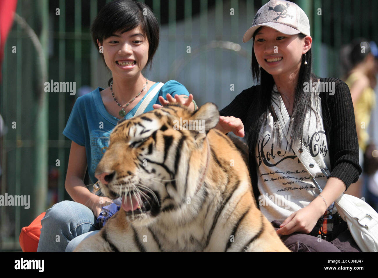 ANIMAL MAGIC These performing beasts wowed the crowds at a circus in ...