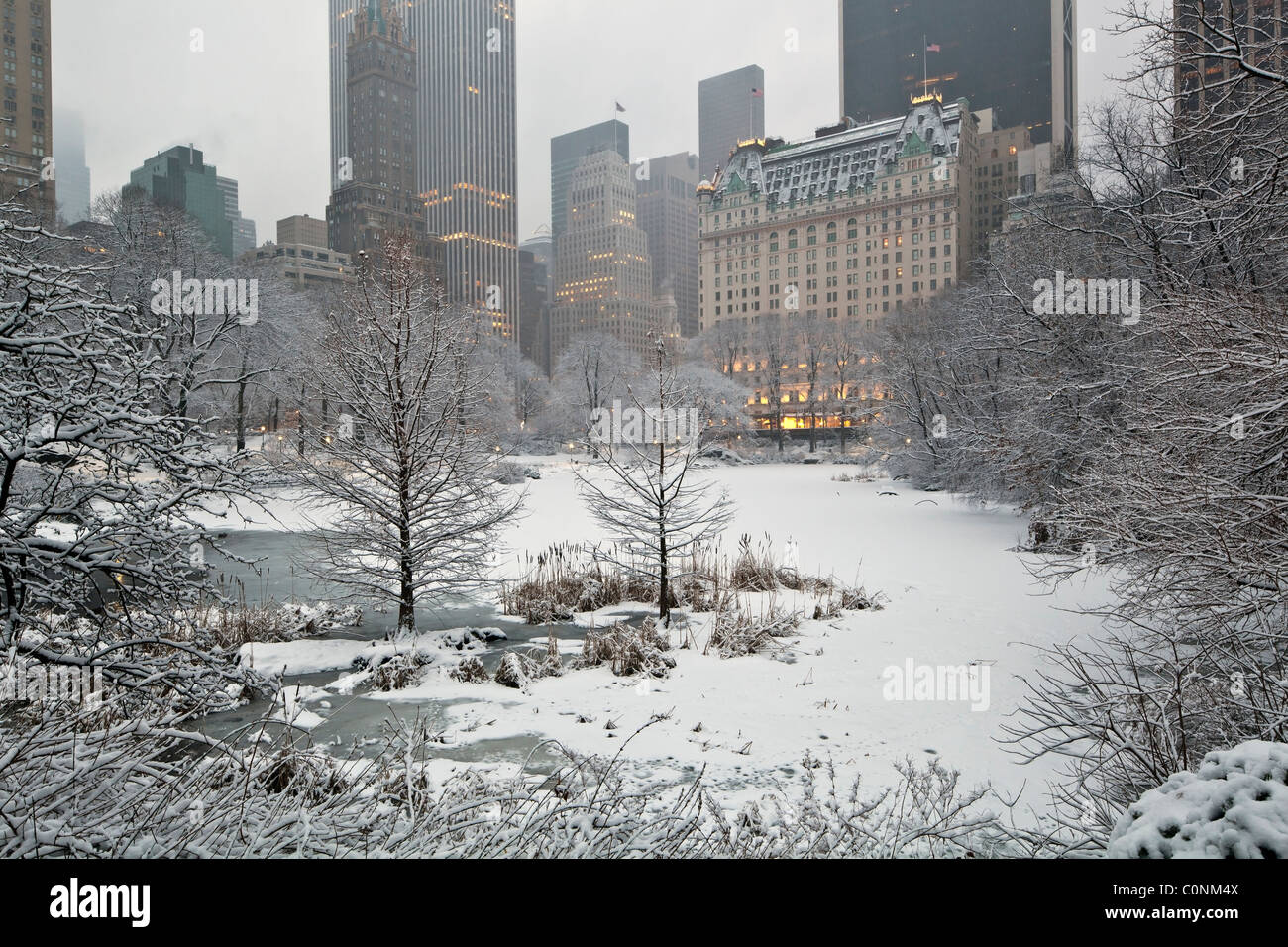 Central park the plaza winter hi-res stock photography and images - Alamy