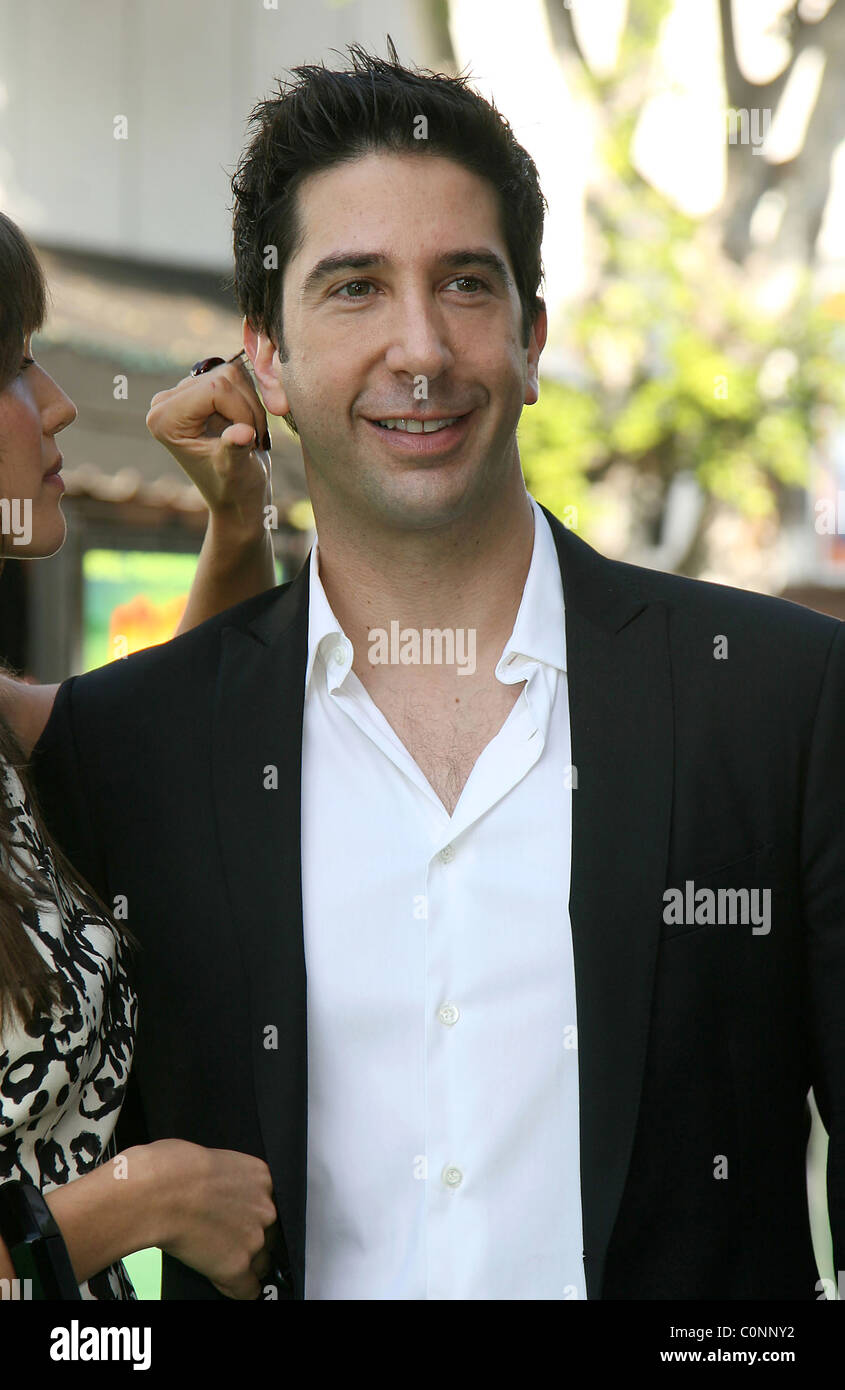 David Schwimmer At the Madegascar: Escape 2 Africa" Premiere at the ...