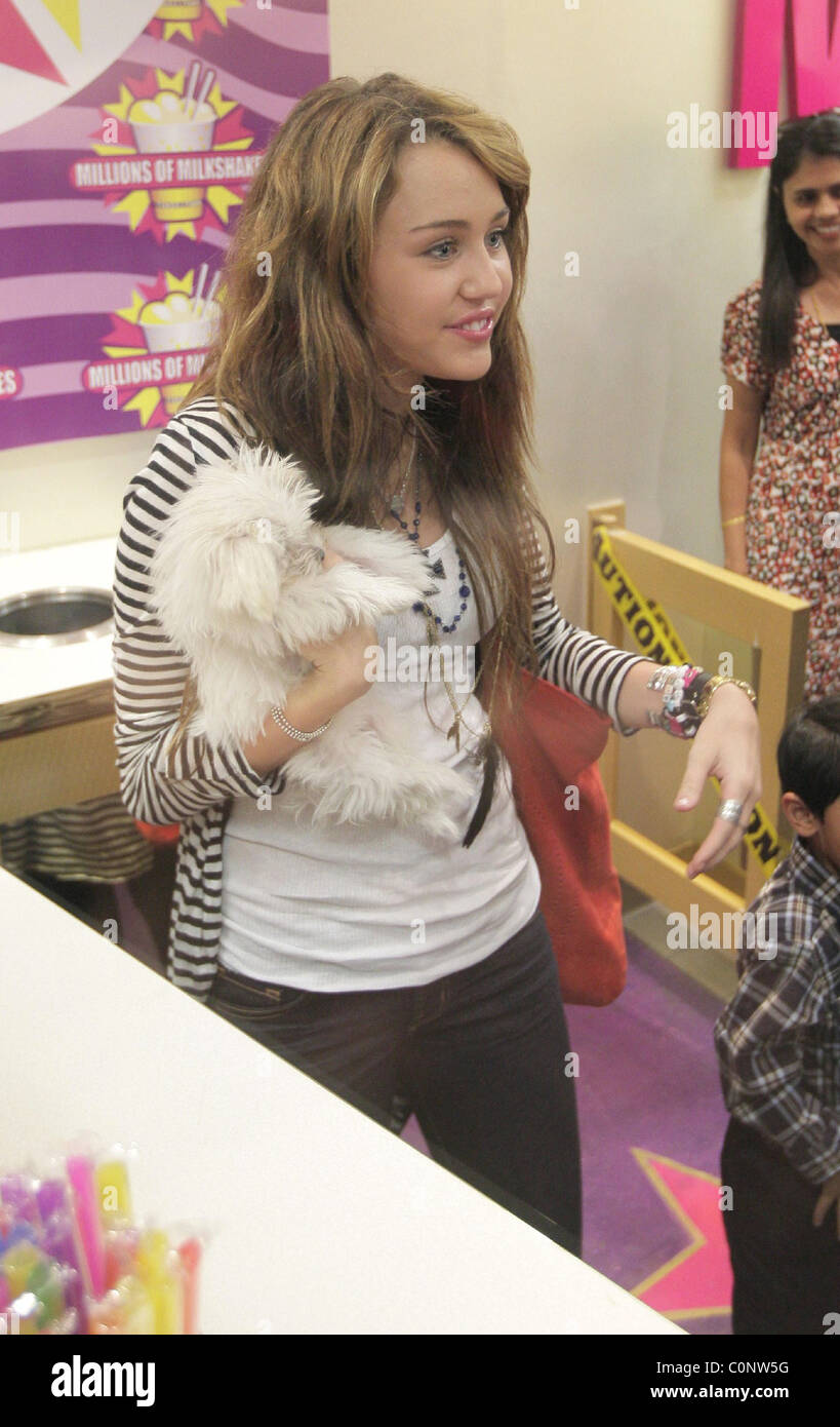 Miley Cyrus and her dog at Millions of Milkshakes to name a new ...