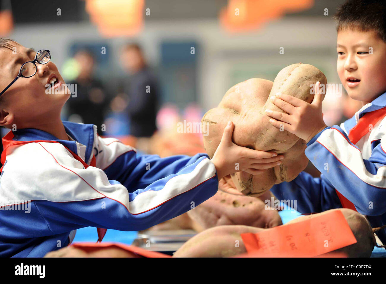 AWARD FOR KING-SIZE SPUD You wouldn't fancy peeling that... This prize ...