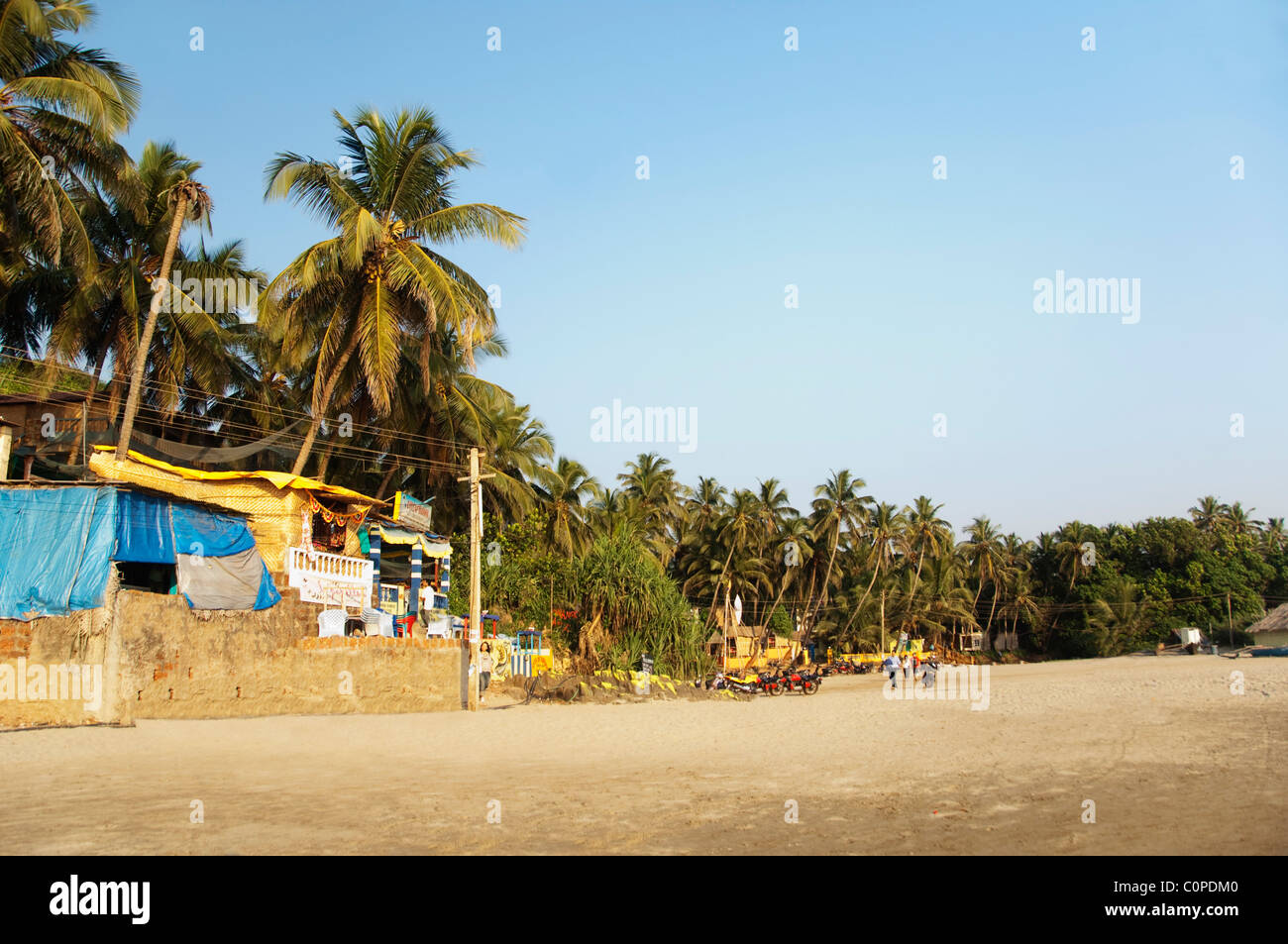 Goa trees hi-res stock photography and images - Alamy