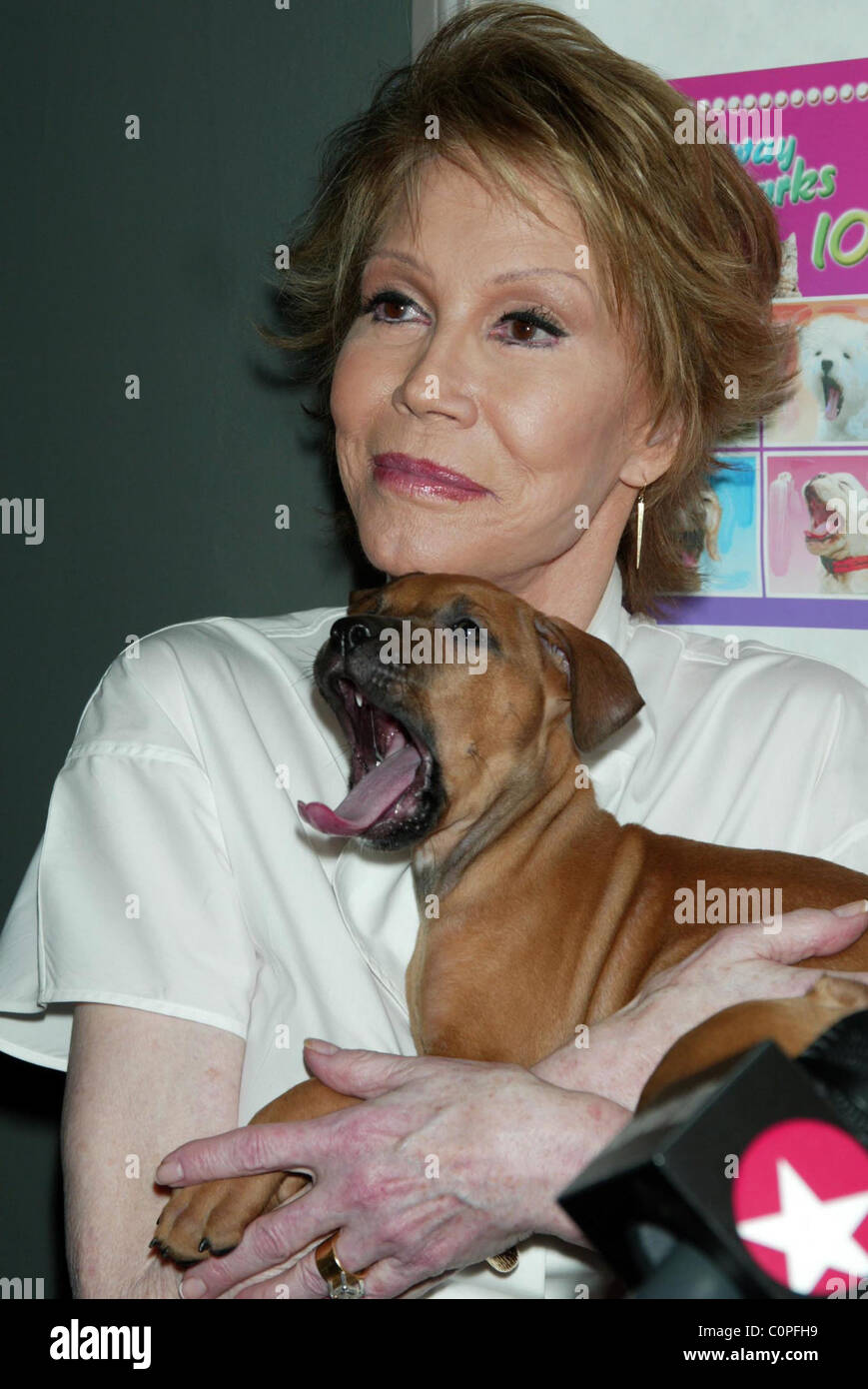 Mary Tyler Moore Broadway Barks 10 - A star-studded dog and cat adopt-a ...