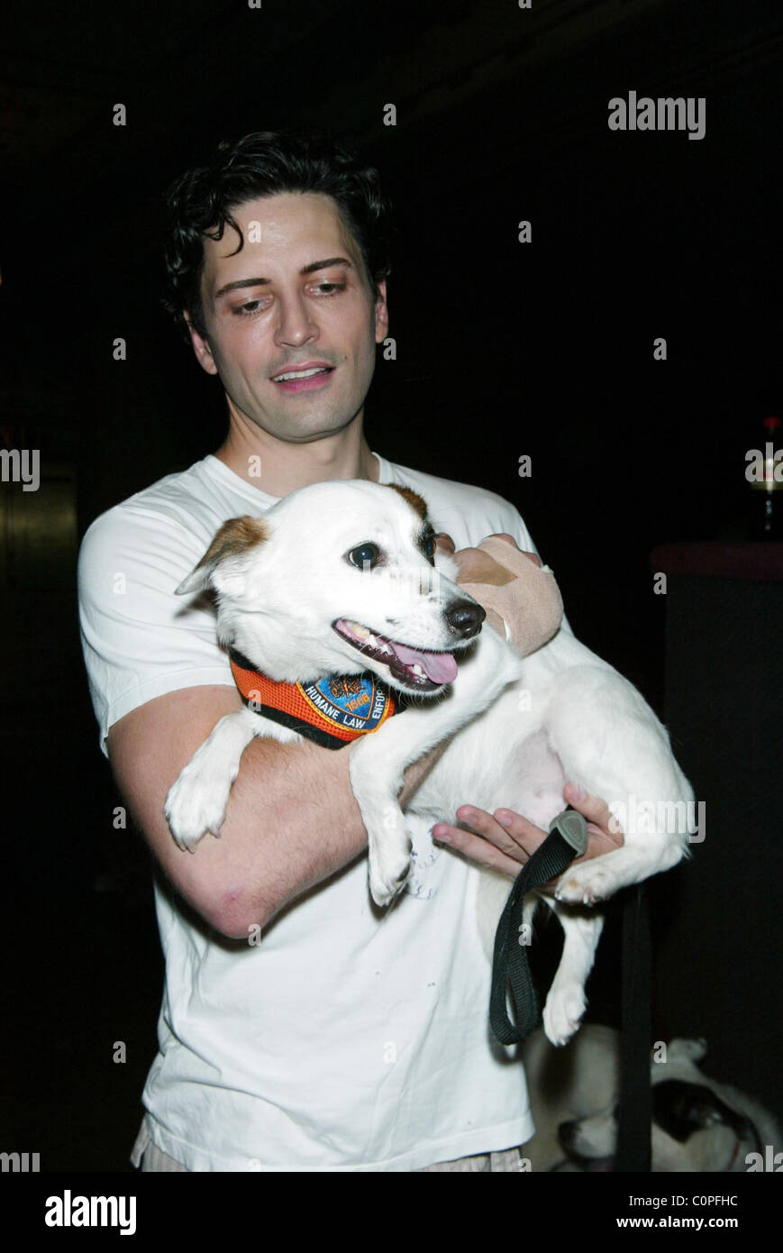 Sean Palmer Broadway Barks 10 - A star-studded dog and cat adopt-a-thon ...