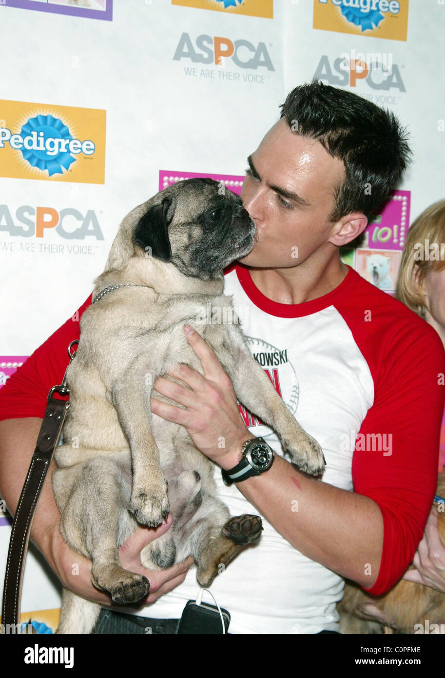 Cheyenne Jackson Broadway Barks 10 - A star-studded dog and cat adopt-a ...