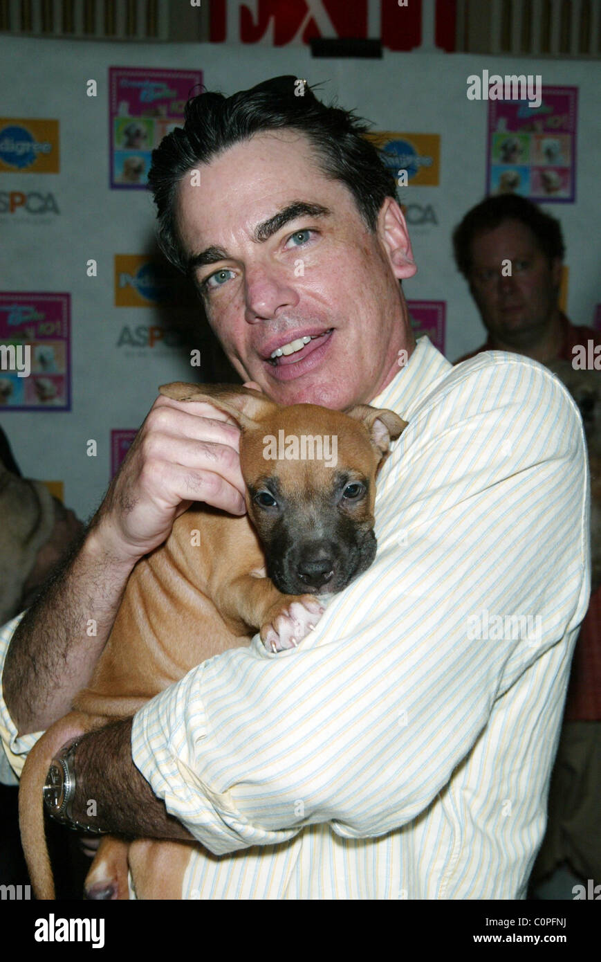 Cat gallagher hi-res stock photography and images - Alamy