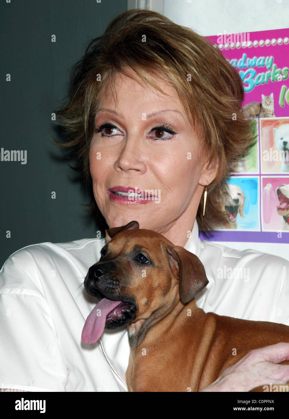 Mary Tyler Moore Broadway Barks 10 - A star-studded dog and cat adopt-a ...
