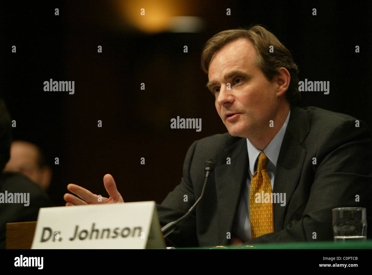 Simon Johnson The Senate and House Economic Committee held a joint ...