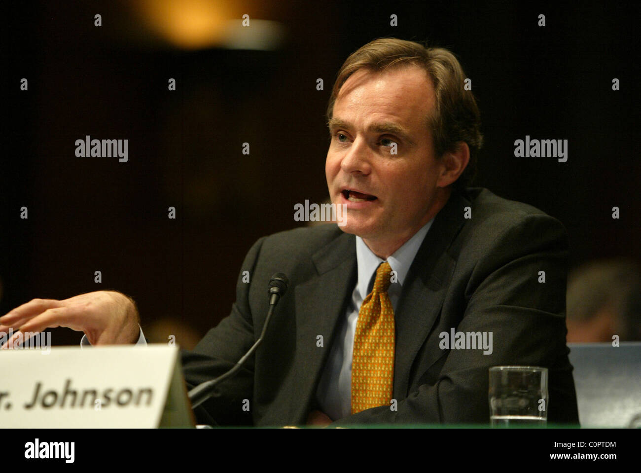 Simon Johnson The Senate and House Economic Committee held a joint ...