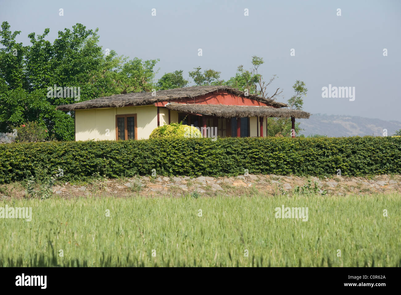 House in a field Stock Photo - Alamy