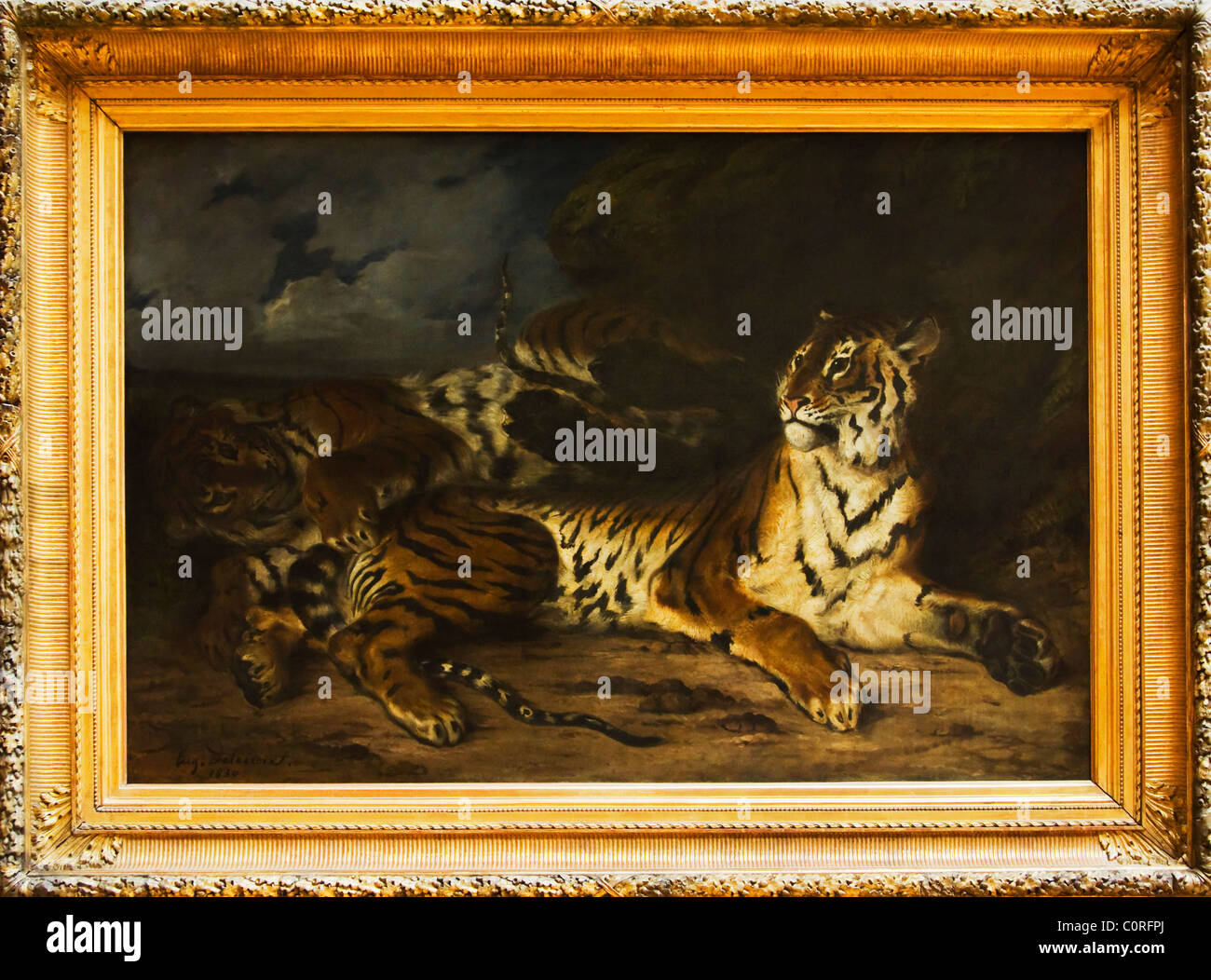Tiger paintings in a museum, Musee Du Louvre, Paris, France Stock Photo ...