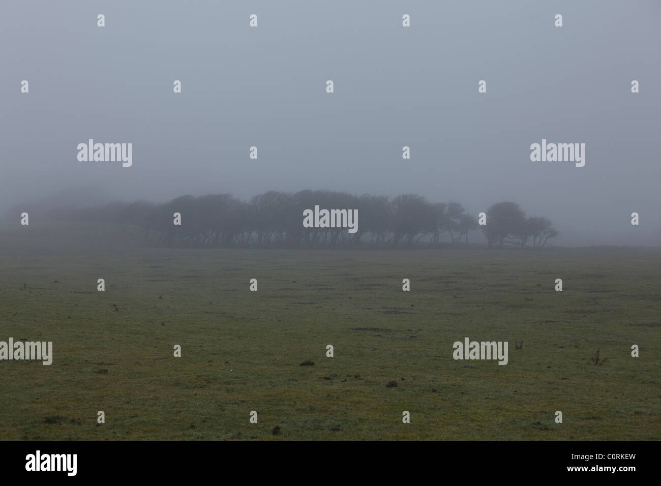 Misty mysterious hi-res stock photography and images - Alamy