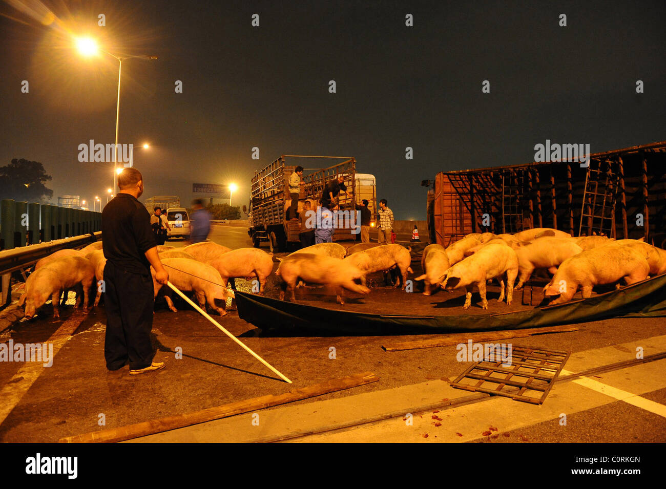 Road hog hi-res stock photography and images - Alamy