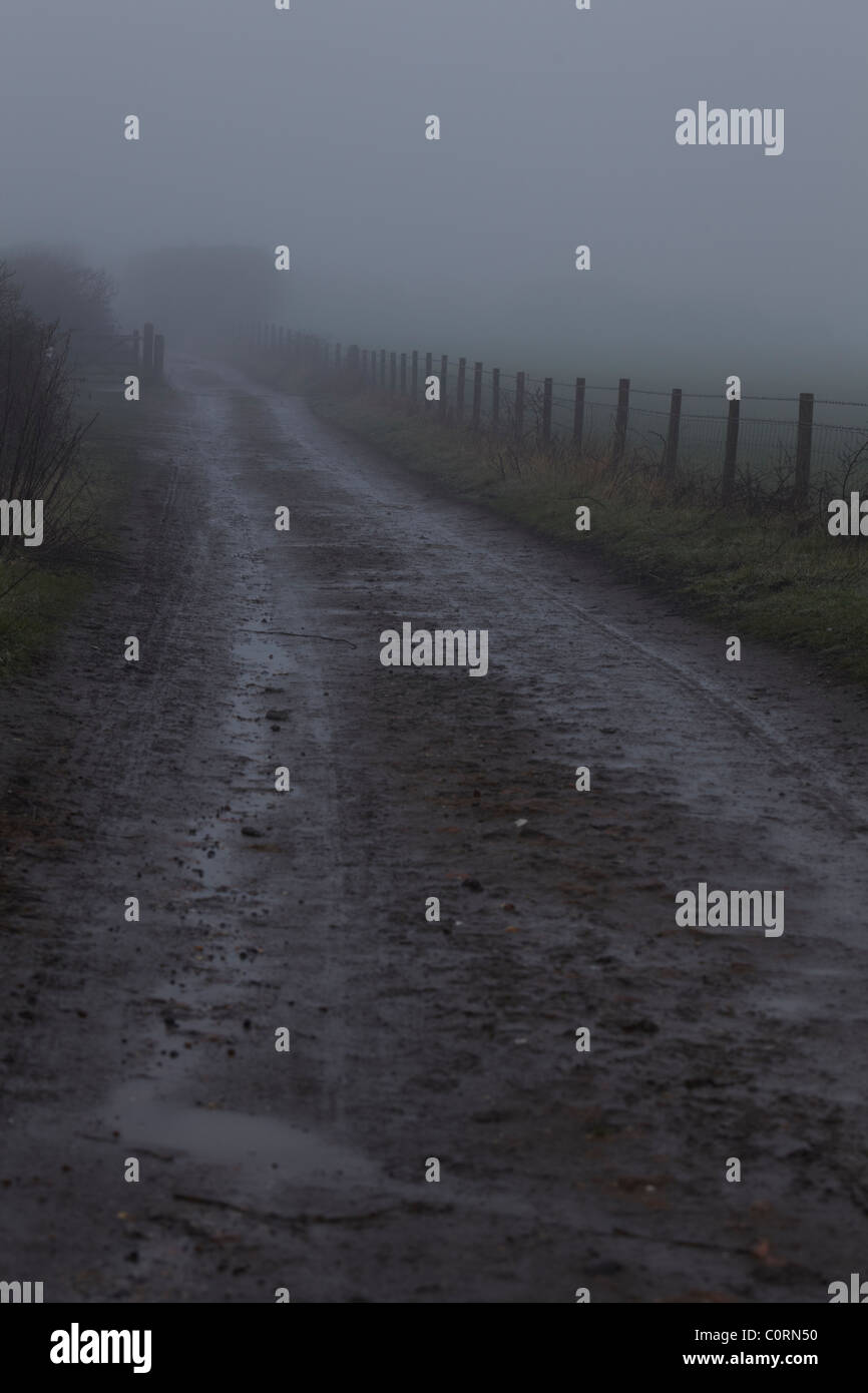 muddy country track Stock Photo - Alamy
