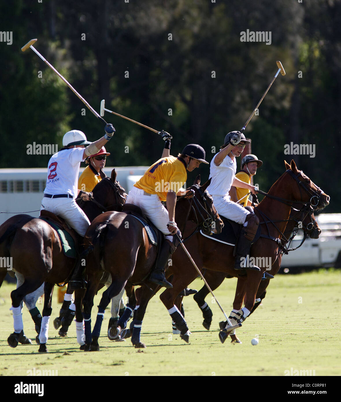 Action from the International Polo Test match between Australia and ...