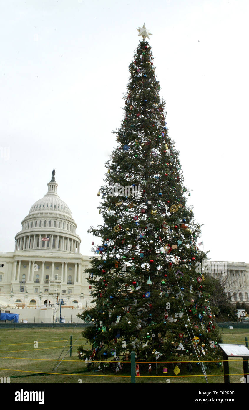 The Capitol Christmas Tree The West Lawn on United States Capitol ...