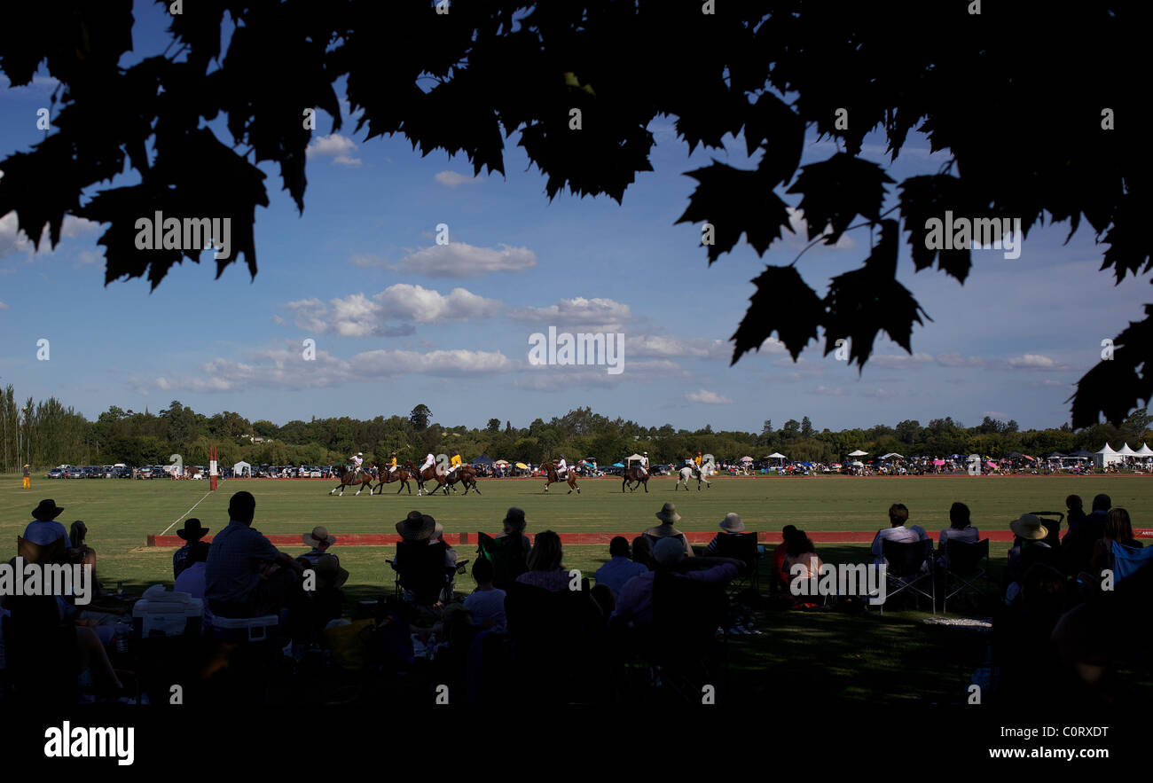 Spectators watch the International Polo Test match between Australia ...
