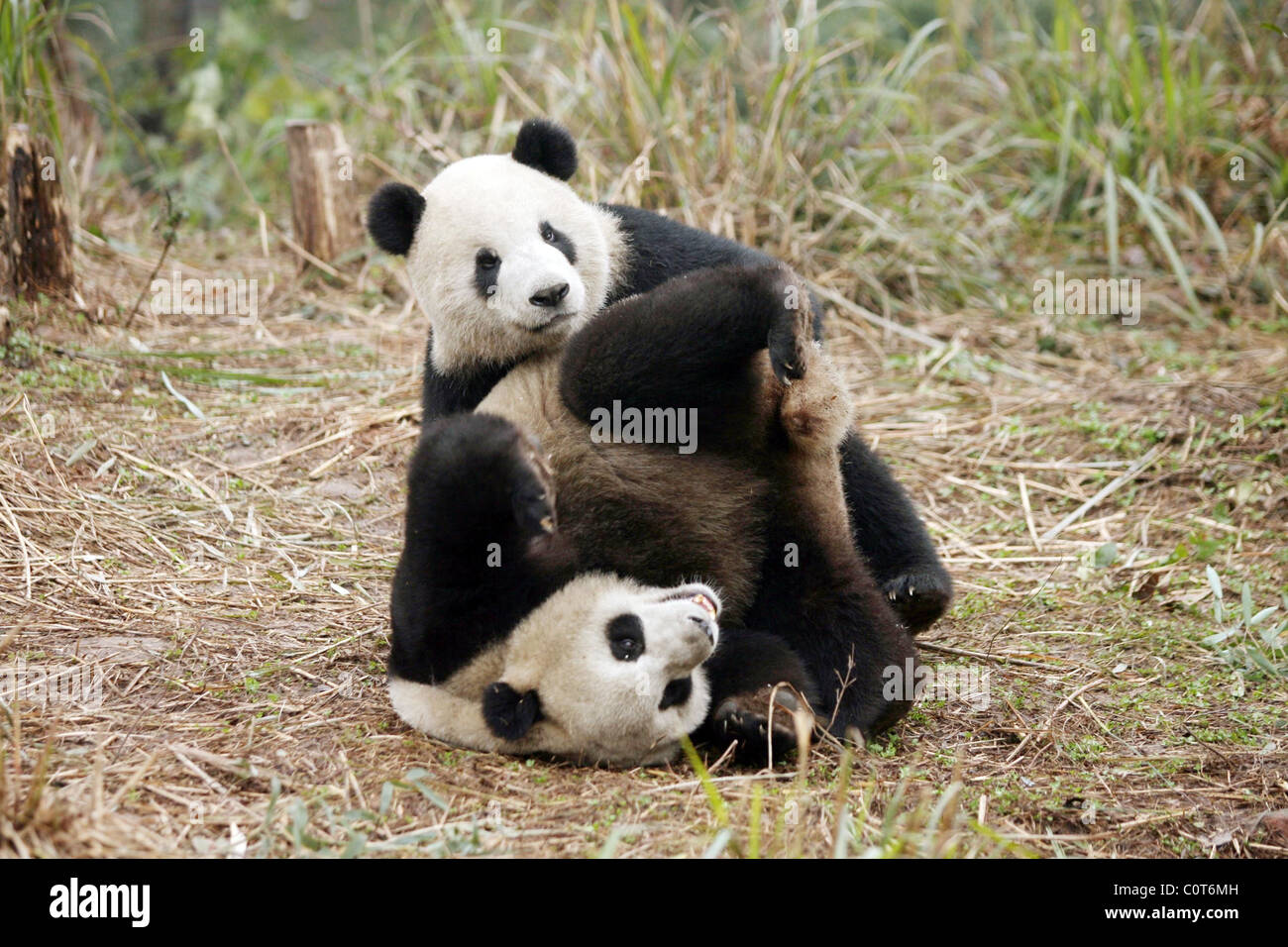 THIS PLACE GIVES ME THE HUMP... That's one way of boosting the ...