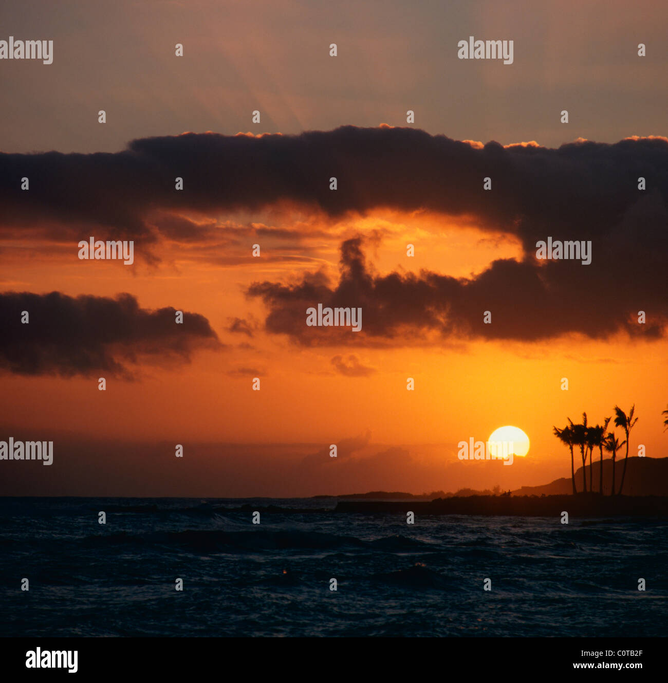 Poipu sunset with palm trees kauai hi-res stock photography and images ...