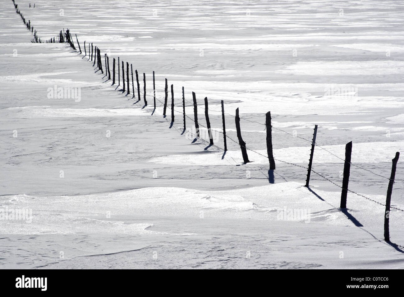 Baca ranch hi-res stock photography and images - Alamy