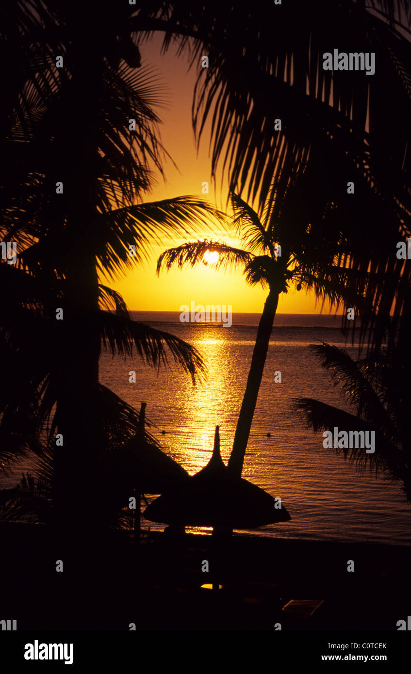 On a mauritian beach on the morne peninsular hi-res stock photography ...