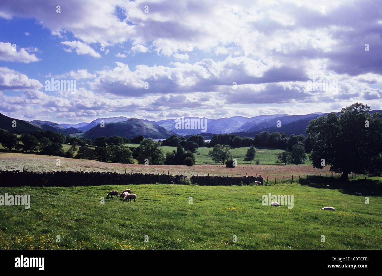 The lakeland fells, Howtown, by Ullswater. Penrith. Cumbria. UK Stock ...
