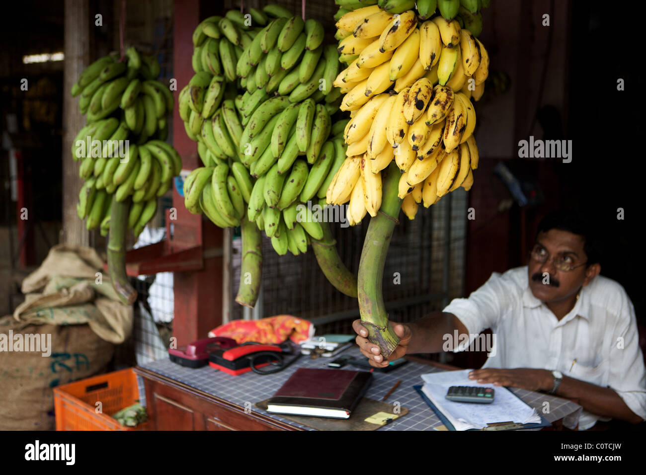 Banana trader in Fort Cochin market, Kerala, India Stock Photo - Alamy